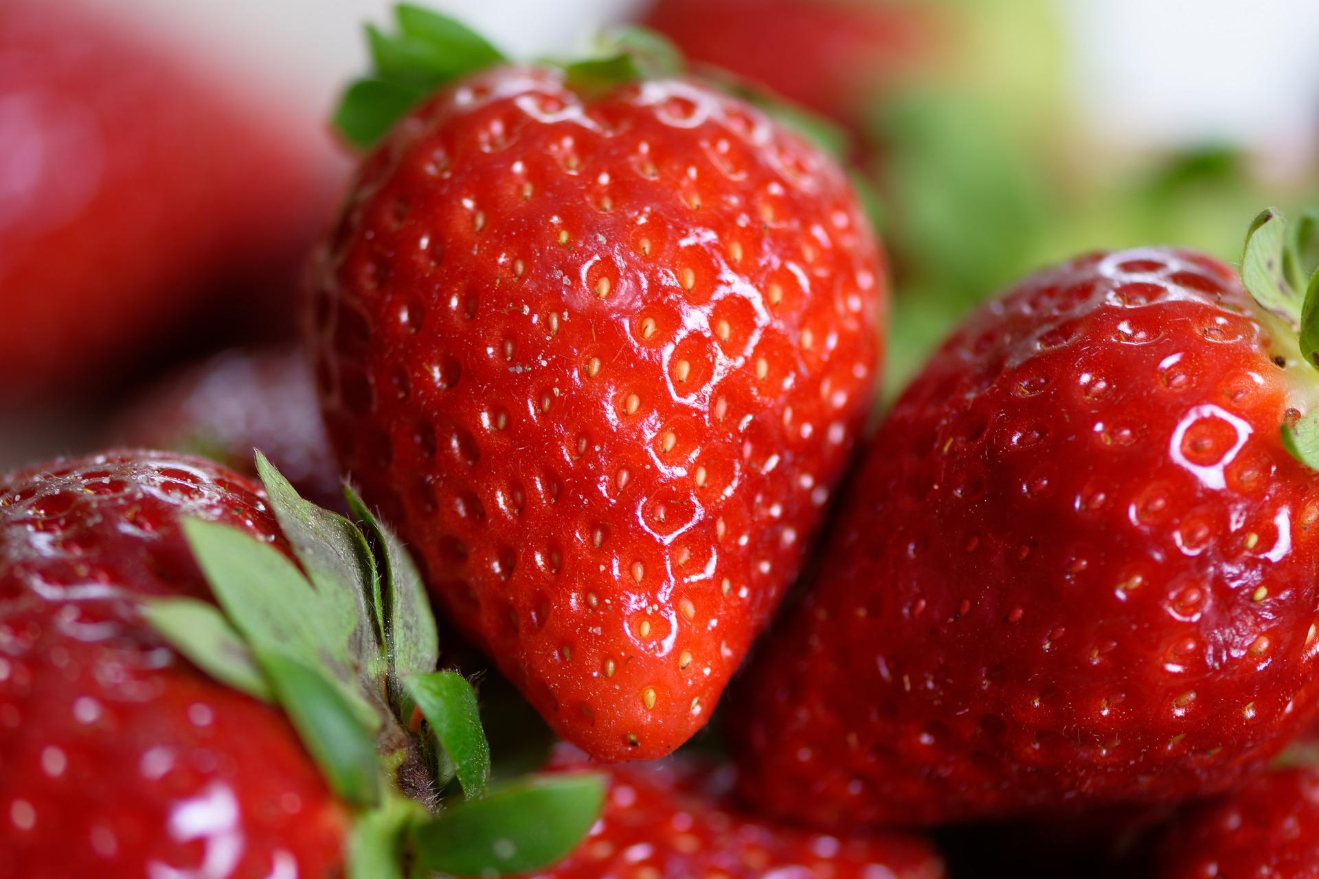 fragola